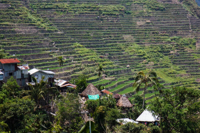 Batad Rice Field Terraces, Ifugao Province, Banaue, Philippines Stock ...