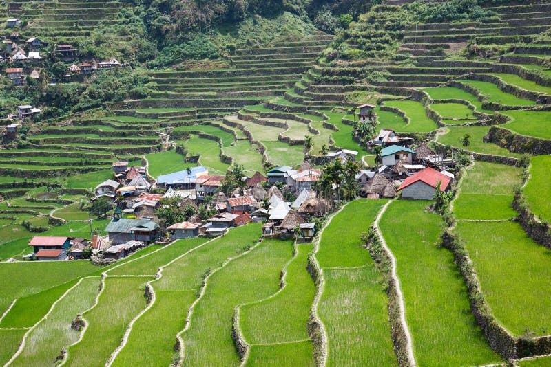 Batad Rice Field Terraces, Ifugao Province, Banaue, Philippines Stock ...