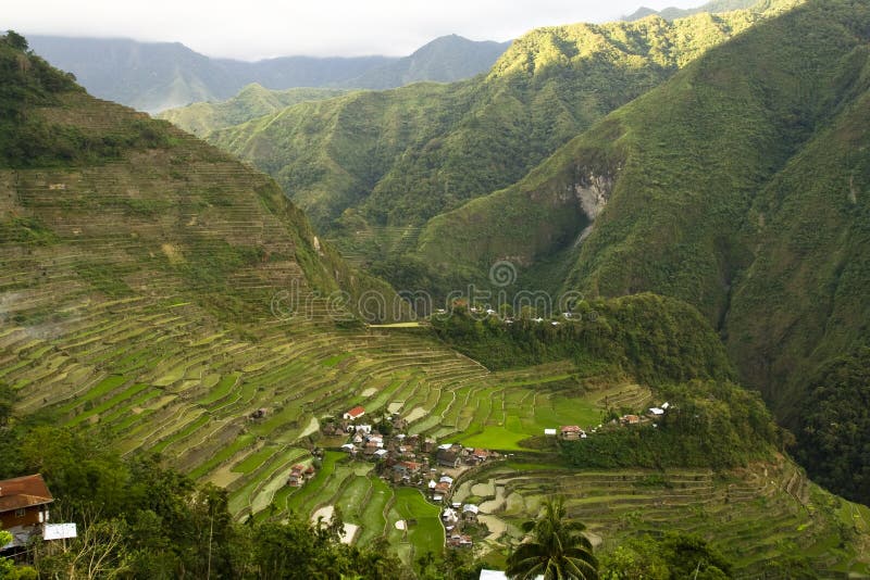 Batad rice terraces stock image. Image of altitude, tourism - 19401711