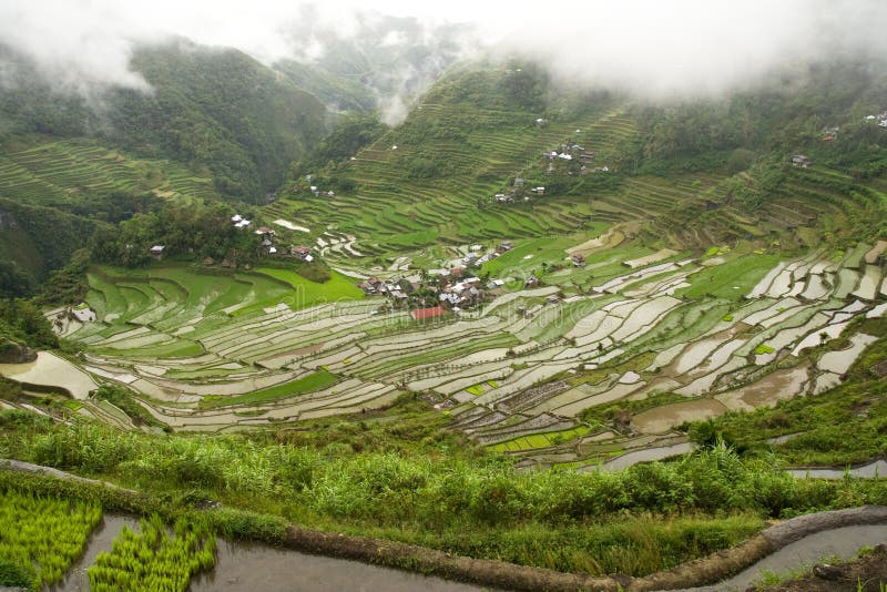 Batad rice terraces stock image. Image of land, tourism - 19401741