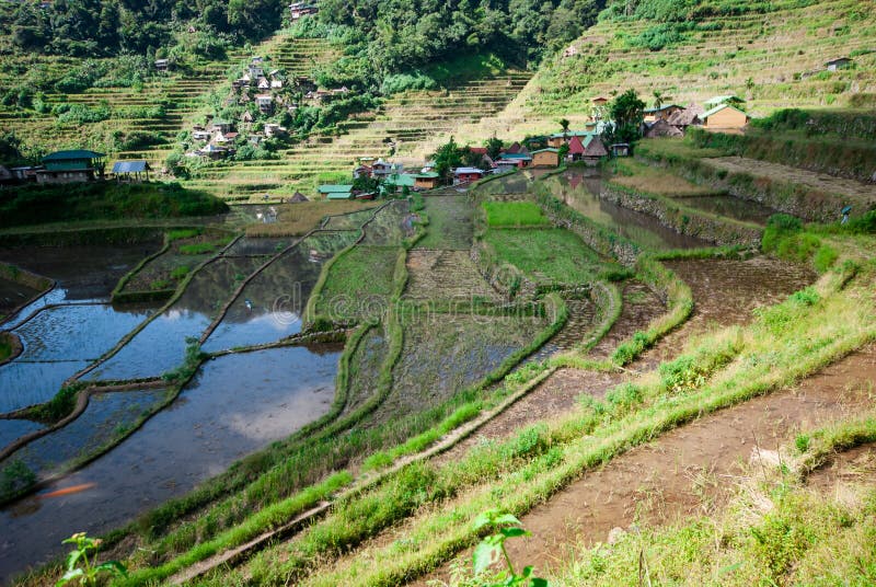 Batad Rice Terraces, Banaue, Ifugao, Philippines Stock Photo - Image of ...