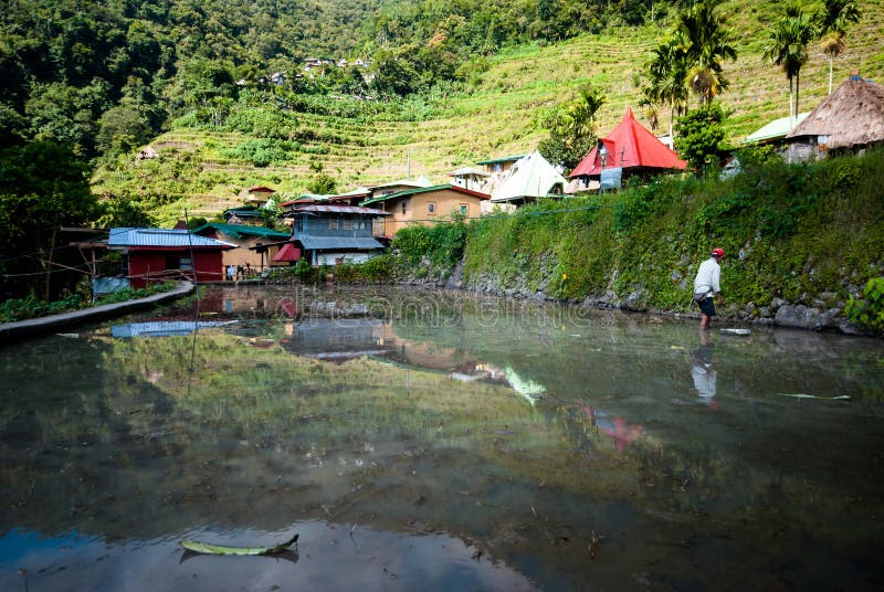 Batad Rice Terraces, Banaue, Ifugao, Philippines Editorial Photo ...
