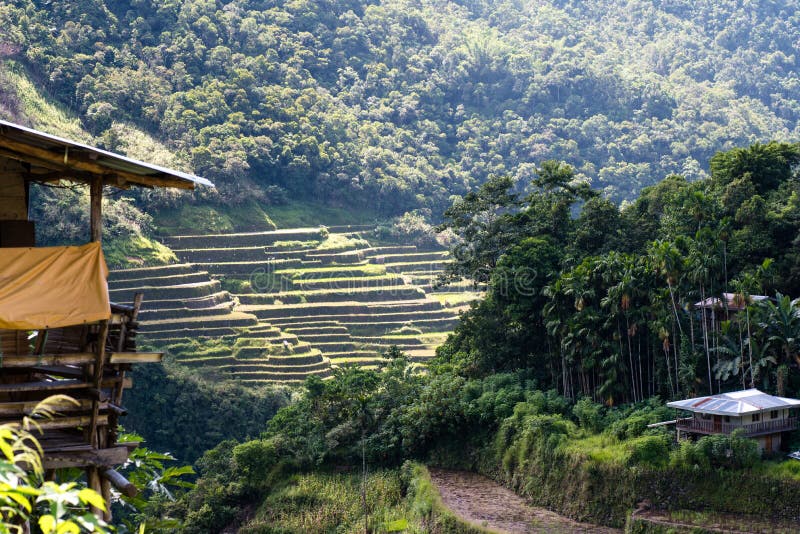 Batad Rice Terraces, Banaue, Ifugao, Philippines Stock Photo - Image of ...