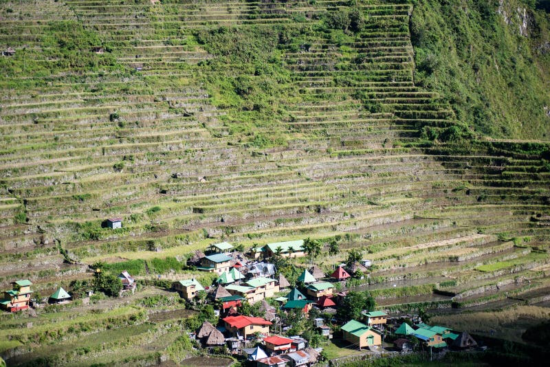 Batad Rice Terraces stock photo. Image of beauty, beautiful - 8709204