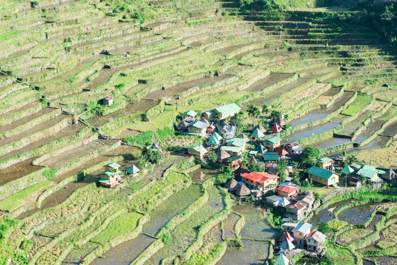 Batad Rice Terraces, Banaue, Ifugao, Philippines Stock Image - Image of ...