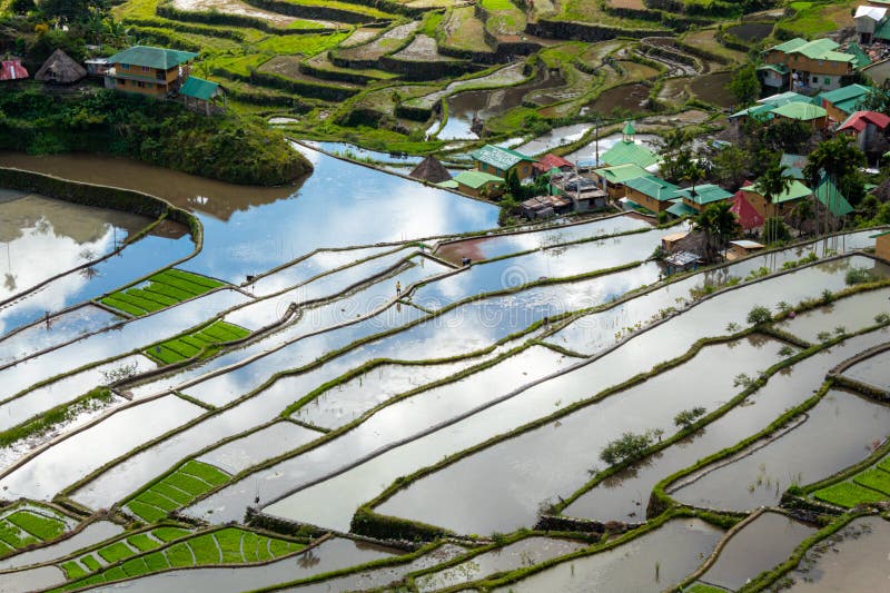 Ifugao Rice Terraces, UNESCO World Heritage in Ifugao, Luzon Island ...