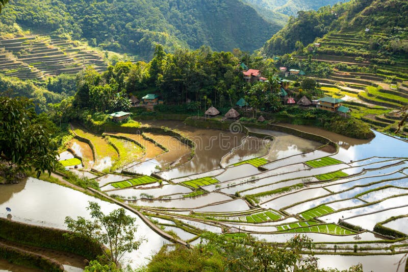 Ifugao Rice Terraces, UNESCO World Heritage in Ifugao, Luzon Island ...