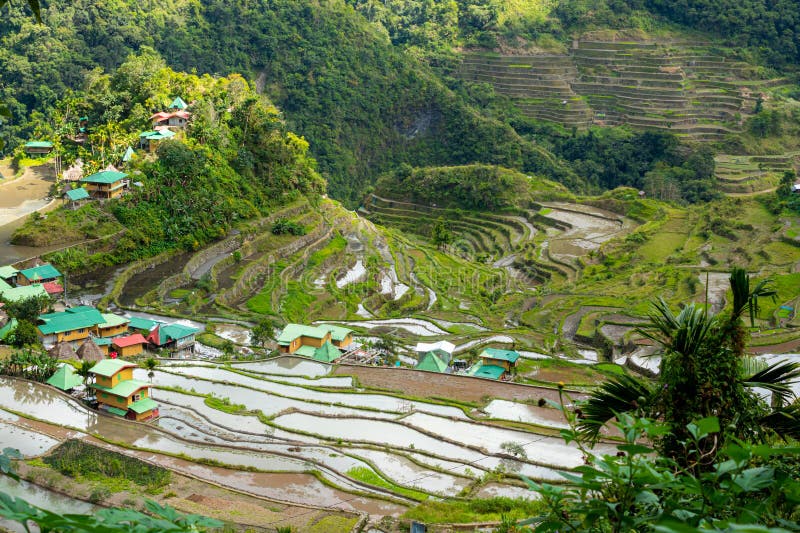 Batad Rice Terraces, Banaue, Ifugao, Philippines Stock Photo - Image of ...