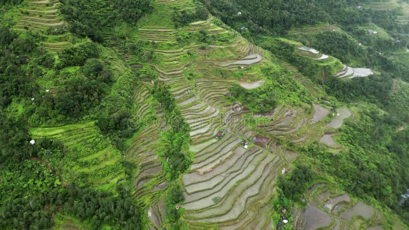 Batad Rice Terraces in Philippines Stock Footage - Video of luzon ...