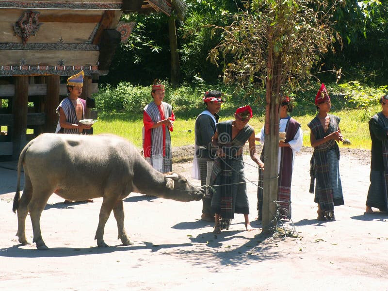 Batak dance editorial photo. Image of traditional, sumatra - 15372296
