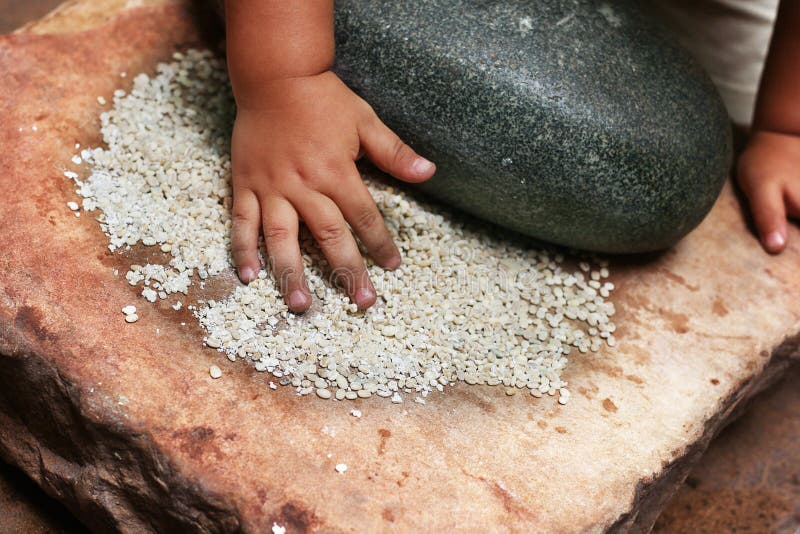 Batan kitchen utensil stock photo. Image of nutrition - 65447092