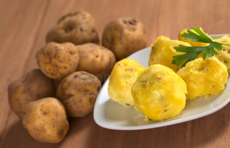 Batata amarela peruana imagem de stock. Imagem de peruana - 19842663