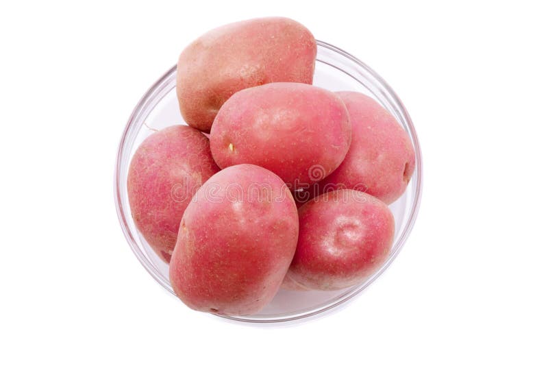 Batata Cor-de-rosa Nova. Isolado Imagem de Stock - Imagem de ...