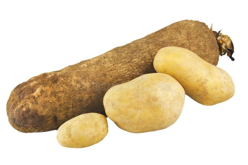 Batata de ghana foto de stock. Imagem de batata, fundo - 24853698