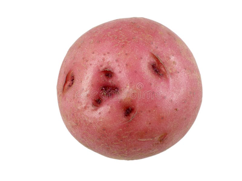 Batata vermelha foto de stock. Imagem de carboidrato, vermelho - 3137792