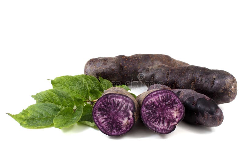 2,413 Batata Violeta Fotos - Fotos de Stock Gratuitas e Fotos Royalty ...