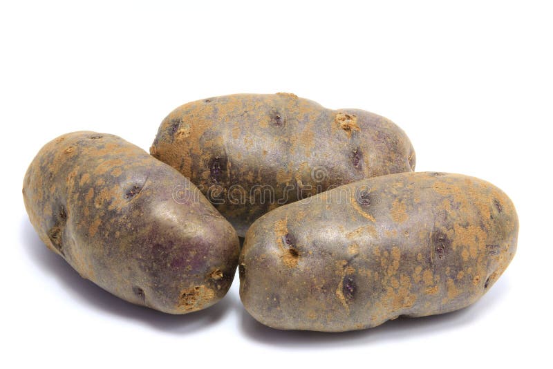Batata azul - Vitellotte foto de stock. Imagem de alimento - 11452906