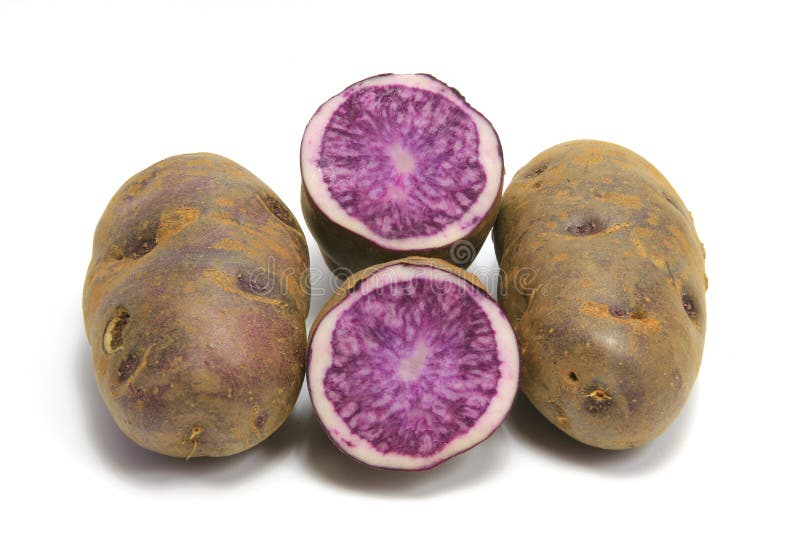 Batatas azuis foto de stock. Imagem de calories, starch - 24779458