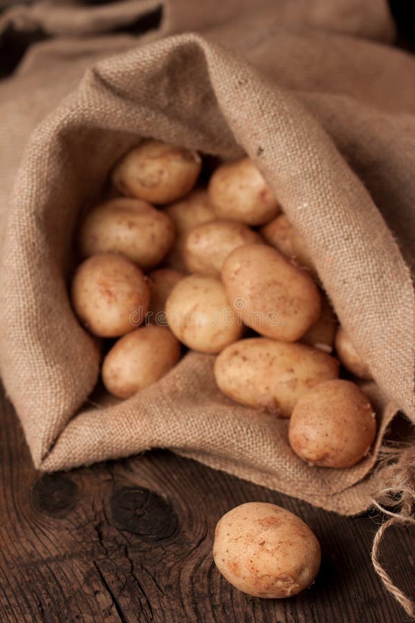 Batatas no saco imagem de stock. Imagem de cultivar, jantar - 20726837