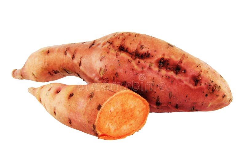 Batate. Ipomaea Batatos Flucht. Stockbild - Bild von protein ...