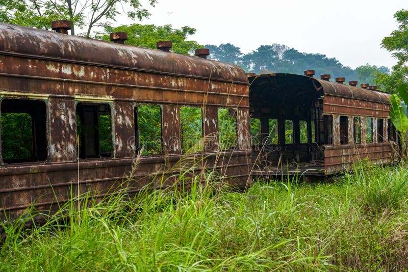 A Batch of Rusty Train Carriages Abandoned in the Forest Stock Photo ...