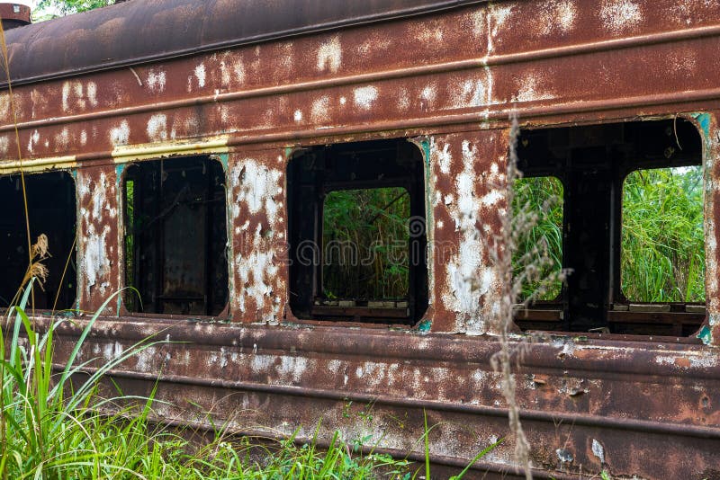 A Batch of Rusty Train Carriages Abandoned in the Forest Stock Image ...