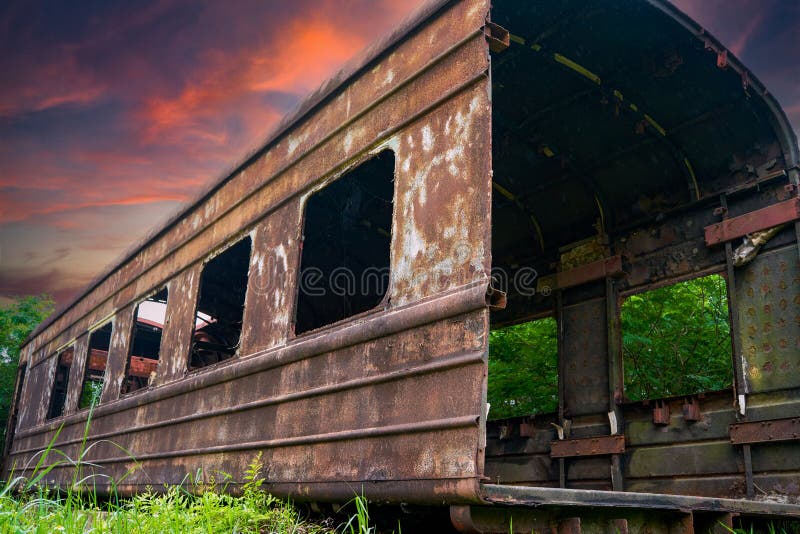 A Batch of Rusty Train Carriages Abandoned in the Forest Stock Photo ...