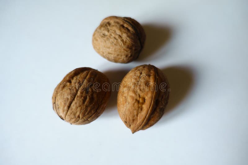 Batch of Three Ripe Unhulled Fruits of Persian Walnut Stock Photo ...