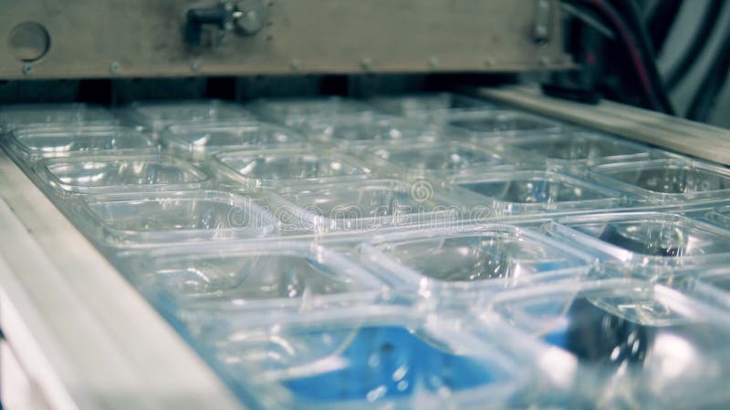 Batches of Plastic Containers are Moving Along the Transporter Stock ...