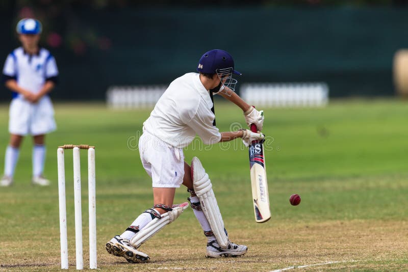 Bateo menor del grillo foto editorial. Imagen de bateador - 28780266