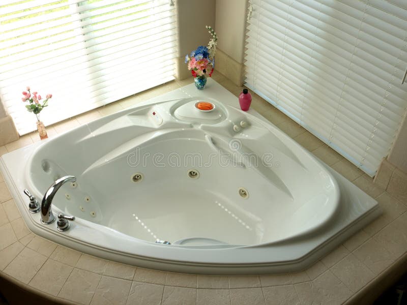 Bath Room Corner with Modern Bathtub Stock Image - Image of vase, light ...