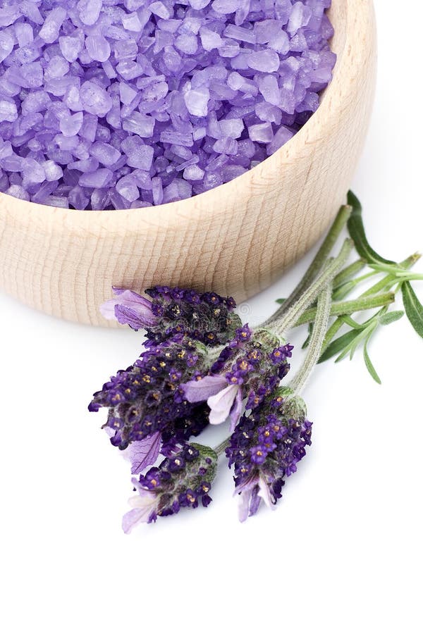 Crystallized violets stock image. Image of color, flower - 23703923