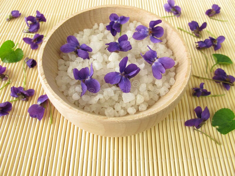 Violet Bathing Swan stock photo. Image of flaps, splash - 112704848