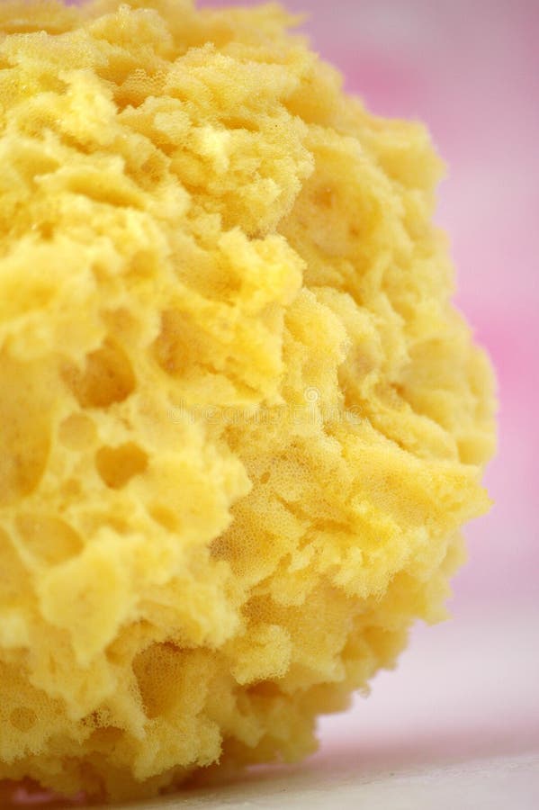 Bath Sponge stock image. Image of clean, texture, objects - 438513