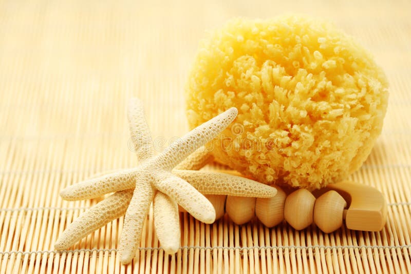 Bath sponge stock image. Image of bath, washing, care - 9999213