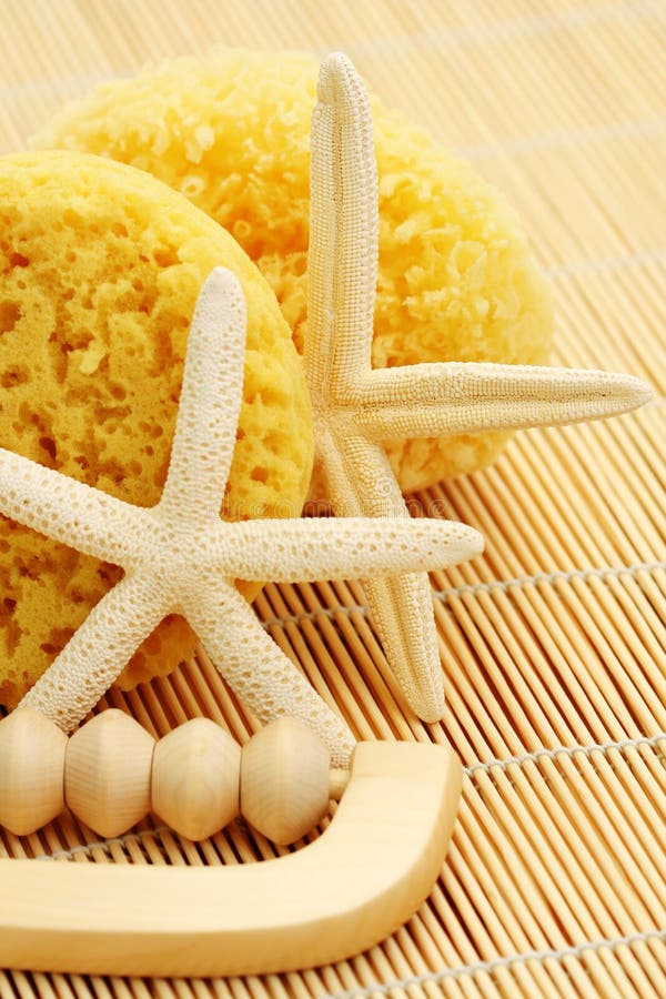 Bath sponge stock photo. Image of shower, clean, body - 9999468