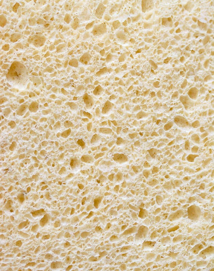 Sponge texture stock photo. Image of natural, color, isolated - 22097588