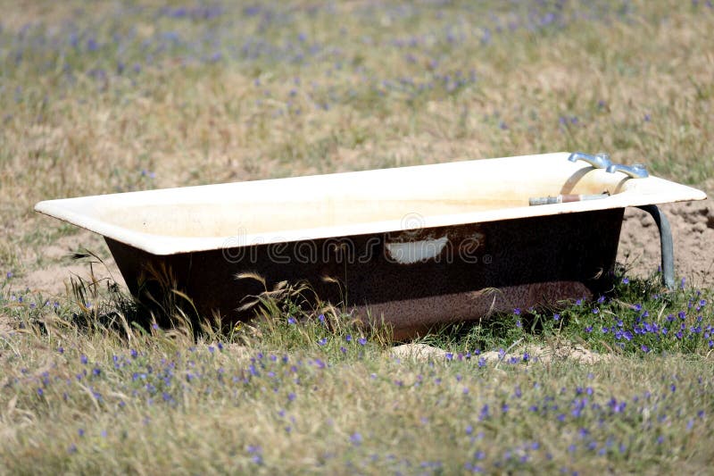 382 Farm Animals Bath Stock Photos - Free & Royalty-Free Stock Photos ...