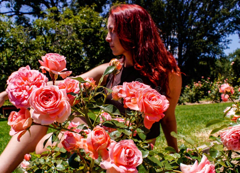 Bathing in the Beauty of Love Stock Image - Image of pink, green: 171963807