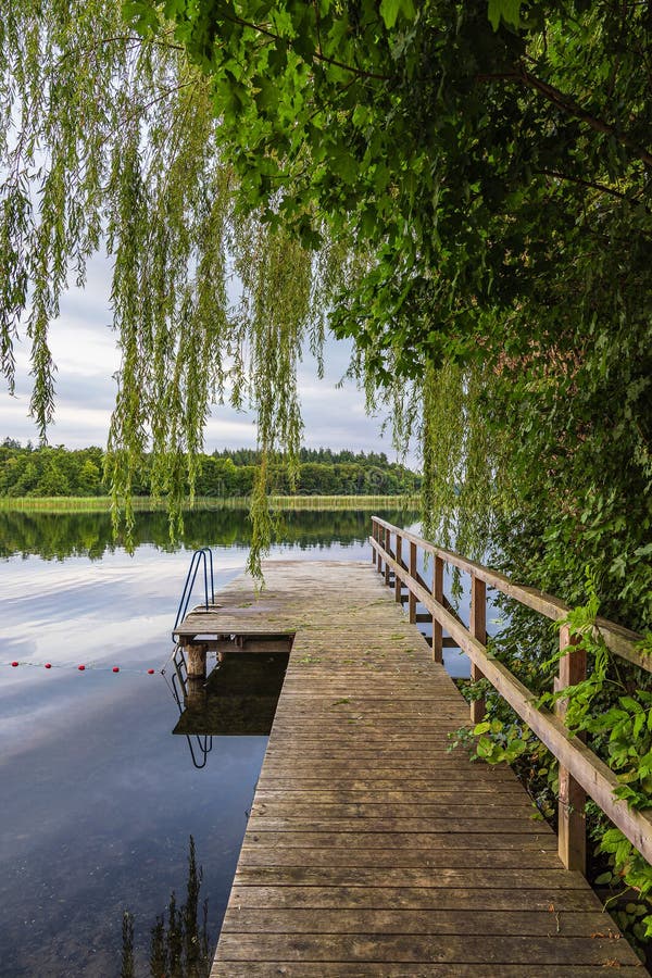 Bathing Jetty at the Lake Schaalsee with Trees in Seedorf, Germany ...