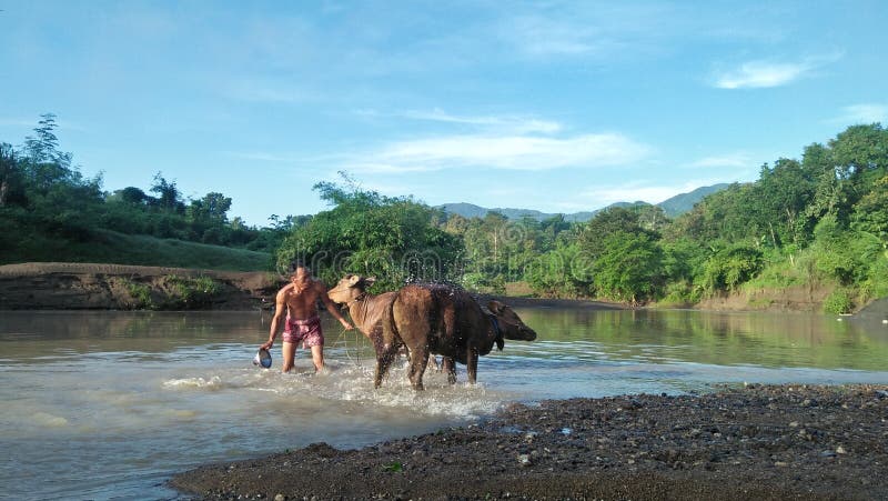 Bathing in the river editorial photography. Image of bathing - 149408782