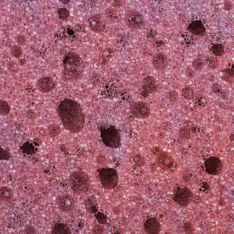 Bathing Sponge Close-up Texture Stock Photo - Image of bathroom ...