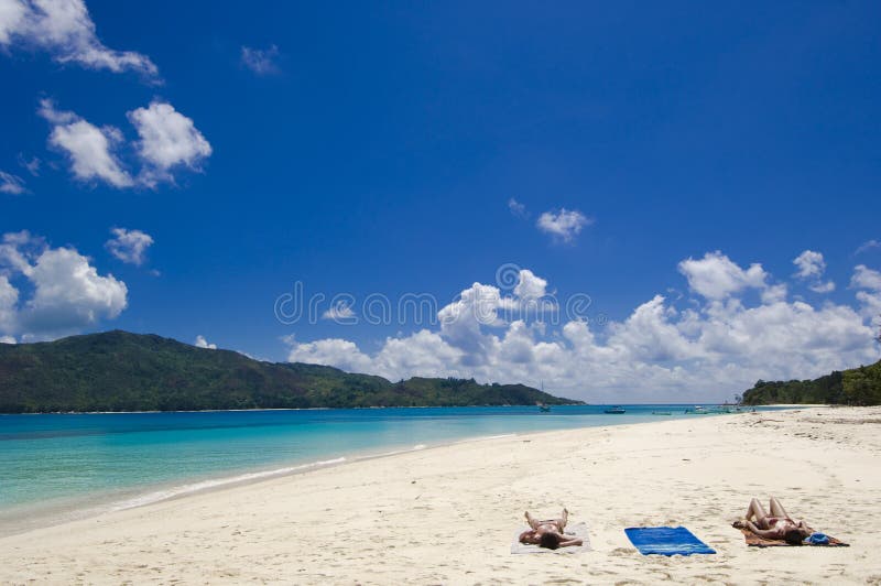 Bathing in the Sun on Tropica Stock Image - Image of coast, bathing ...