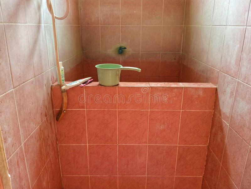 Bathroom Dominated by Pink, Stock Image - Image of bidet, cabinetry ...