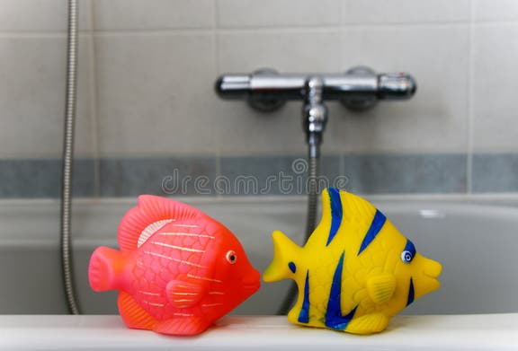 Bathroom fish stock image. Image of colors, ducks, cheer - 7172807