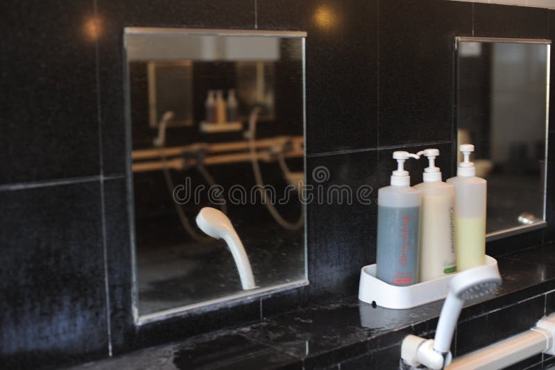 Bathroom Interior with Shower, Hose, Shampoo and Soap Dispenser, Mirror ...