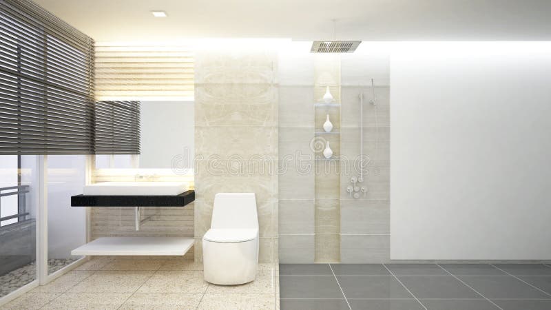 Bathroom Interior with a Shower Toilet and a Sink,Side View Stock ...