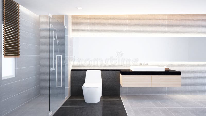 Bathroom Interior with a Shower Toilet and a Sink,Side View Stock ...