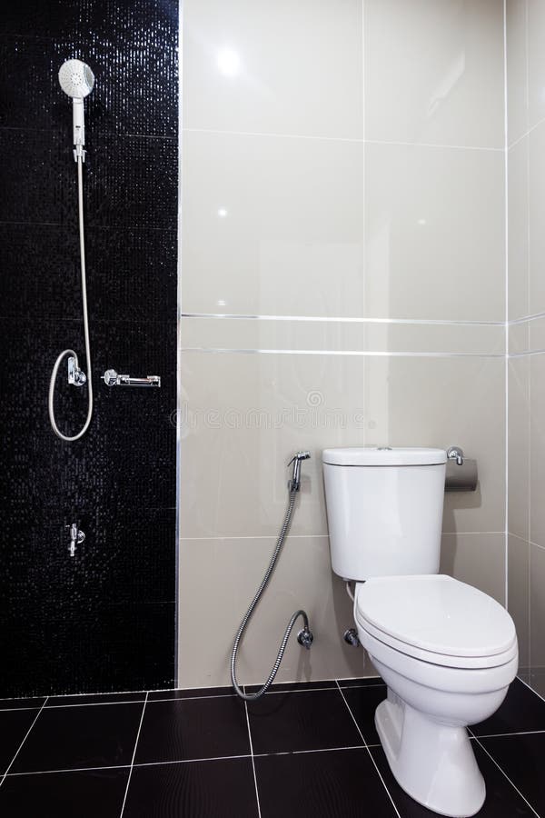 Bathroom stock photo. Image of ceramic, interior, sanitary - 80199604