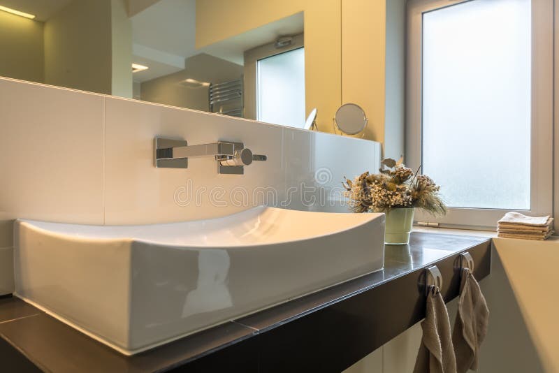 Bathroom with a pot flower stock photo. Image of estate - 96331132